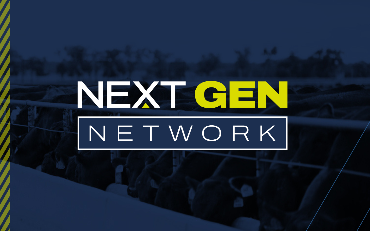 Next Gen Network | Producers Livestock